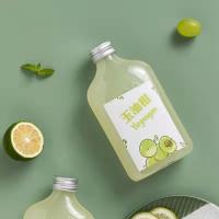 China Customized 350ml 380ml 14oz PET Round Bottle Empty Beverage Container With Lid for sale