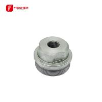 China High Quality Screw Plug 2463452001  for  Injection VE PUMP for sale