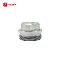 China High Quality Screw Plug 2463452001  for  Injection VE PUMP for sale
