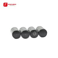 China High-inquiry Products Bearing Pin 2463100002  for BOSCH Injection VE PUMP for sale