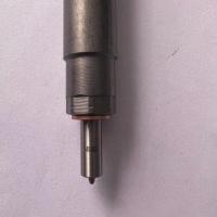 China Hot Sale 33800-2F000 Common Rail Injector 0445116018 for Carnival 2.2d H1 2.5d Injection Valves