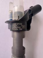 China Hot Sale 33800-2F000 Common Rail Injector 0445116018 for Carnival 2.2d H1 2.5d Injection Valves
