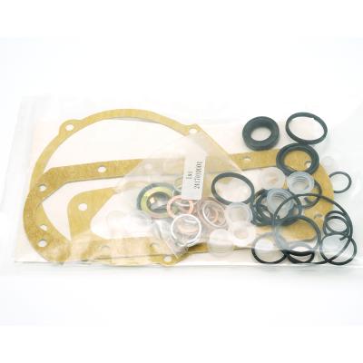 China Factory Supply ISO9001 Certified Original P3000 Pump Repair Kit 2417010001 (800001) Common Rail Diesel New Condition for sale