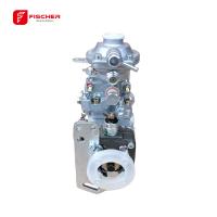 China Factory Direct Sale New Replacement 0460424523 VE4 12F1100R1171 Fuel Pump for Diesel Engine 2890390 6 Months Warranty Made China for sale
