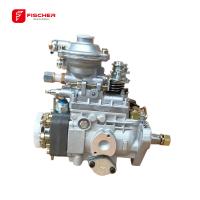 China 0460426401 VE Series VE6/12F1300R929-5 Diesel Engine Fuel Injection Steel Pump Assembly for EQB160-20 Truck for sale