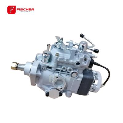 China 0460426994 VE Fuel Injection Pump for VE6 / 12E1900L940 35022093F for WM35022093F for sale