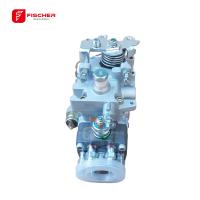 China Wholesale 0460426499 Diesel Injection Pum VE6/12F1100R2065-1 for AGCO SISU POWER for sale