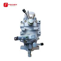 China High Pressure VE3 10F750R373 VE Diesel Fuel Injection Pumps Assembly for KIPOR Generator for sale