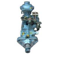 China New Injection Engine Diesel Fuel Transfer VE Pump Tools Standard Size 0460424100 0460424216 for Cars for sale