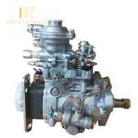 China VE Series VE6/12F1300R929-5 0460426401 Diesel Engine Fuel Injection Steel Pump Assembly for EQB160-20 Truck Engine Assembly for sale