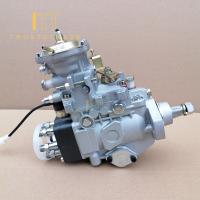 China 196000-3070 VE6/10F1900RND307 22100-1C241 Auto Parts Injection VE Fuel Pump Assembly for TOYOTA for sale