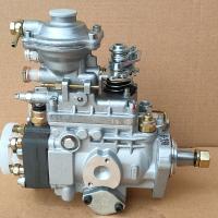 China Exquisite Workmanship 0460424326 Steel Car VE Diesel Pump Assembly for Fuel Injection System for sale