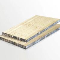 China External Wall Cladding Aluminum Honeycomb Sandwich Panel with Anti-Static Performance for sale