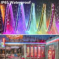 China 5V Addressable Neon Light Strip With 72 LEDs And 72 WS2811 Integrated Circuits/M for sale