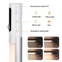 China Long Strip LED Motion Sensor Wardrobe Light 3000K/4500K/6000K for sale