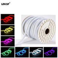China Flexible Led Neon Light Rgb for Outdoor Waterproof 220v 10*20 Lighting Sign for sale