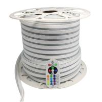 China Flexible Led Neon Light Rgb for Outdoor Waterproof 220v 10*20 Lighting Sign for sale