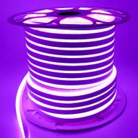 China Flexible Led Neon Light Rgb for Outdoor Waterproof 220v 10*20 Lighting Sign for sale