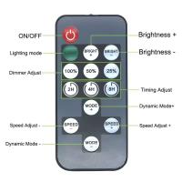 China 14Key 12a Single Color Rf Led Controller With Dc Or 2 Pin Connection Mode for sale