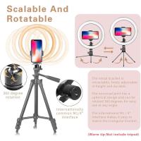 China Video Led Fill Light Cri95 3000K-6500K with 5v Usb Adjustable Brightness for sale
