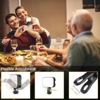 China Rechargeable 12w Led Portable Fill Light With Adjustable Angle And Usb Power for sale
