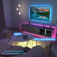 China Flexible Led Ribbon Lights DC12V With Rgb Color And Smart Music Feature for sale