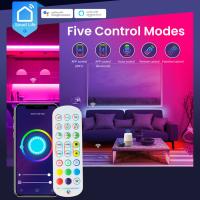 China Smart 24 Key Rgb Led Strip Lights Set With Music And Timing Function Tuya Wifi for sale