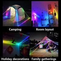 China Smart Addressable Rgb Light String With Music/Timing/Bluetooth Functions For Christmas Decoration for sale