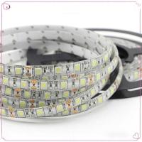 China 5050 Dimmable Single Color White Warm White Light LED Flexible Light Strip with Lifespan 50000 Hours for sale