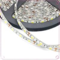 China 5050 Dimmable Single Color White Warm White Light LED Flexible Light Strip with Lifespan 50000 Hours for sale