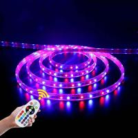 China 220v Customizable Flexible Led Light Strip Pcb Light Body Material 6 Colors Integrated Soft Light Strip for sale
