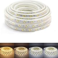 China Hotel/Shopping Center Dual Color Dimmable Led Light Strip Input Voltage DC 220V Lifespan 50000 Hours for sale