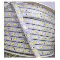 China High Brightness Ip68-Rated Dual-Color Light Strip To Meet Your Business Needs for sale