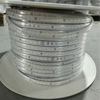 China 220v High Light Led Strip Lights 100m/Roll Single Color for Indoor/ Outdoor/ Hotel/ Shopping Mall Applications for sale