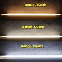 China White Warm Led Strip Lights 2835 Single Color DC220V For Your Requirements for sale