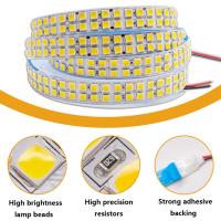 China Non-waterproof Ip20 Flexible Led Lights Double Row 12v Voltage And Epistar Chip for sale