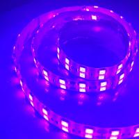China 48v Silicone Waterproof Light With 120 Lamps For Sterilization And Mosquito Killing Uv Light for sale