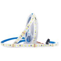 China Indoor Flexible Led Light Strip 12v Drip Waterproof Ip65 Cct Dual Color Temperature Linear Light for sale