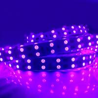 China 395nm Purple Light Anti-uv Light Strip 24v 120 Lamp Ip20 LED Linear Light for sale