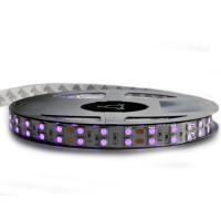 China 395nm Purple Light Anti-uv Light Strip 24v 120 Lamp Ip20 LED Linear Light for sale