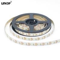 China 24v Single Color Led Light Strip 2216 High Brightness 180 Lights/meter Household Soft Light Strip for sale