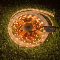 China LED 2835 Outdoor Waterproof Light With 12v 60 Lamp Ip68 Home Lighting Decorative Lamp for sale