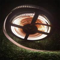 China 24v High Brightness 3014 Single Row Led Light Strip Suitable For Indoor Roof Dark Groove Decorative Lighting for sale