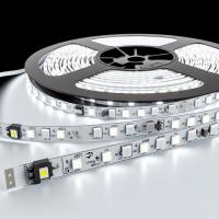 China Single Color 2835 Engineering Led Light Strip 60 Lights/m Outdoor Waterproof Flexible Light for sale