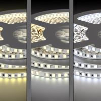 China Warm White 3000K/Neutral White 4000K/White Light 6500K LED Strip Lights with Cuttable Design and SMD 2835 for sale