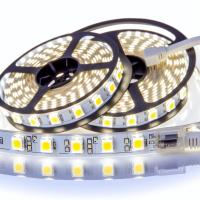 China Waterproof IP67 LED Strip Lights for Shopping Malls at 12V Voltage for sale