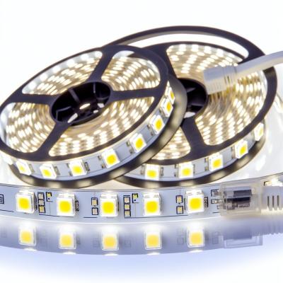 China Waterproof IP67 LED Strip Lights for Shopping Malls at 12V Voltage for sale