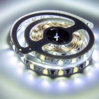 China Versatile and Durable 20 Pcs/m Color Changing LED Strip Lights with 12w/m Power for sale