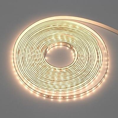 China 30 Life LED Strip Lights Lightweight Light Strips for Easy Handling and Installation for sale