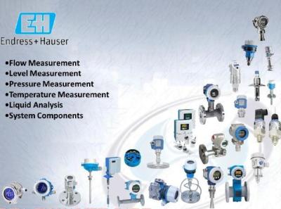China Endress+Hauser Proline t-mass I 300 Thermal Mass Flowmeter for sale